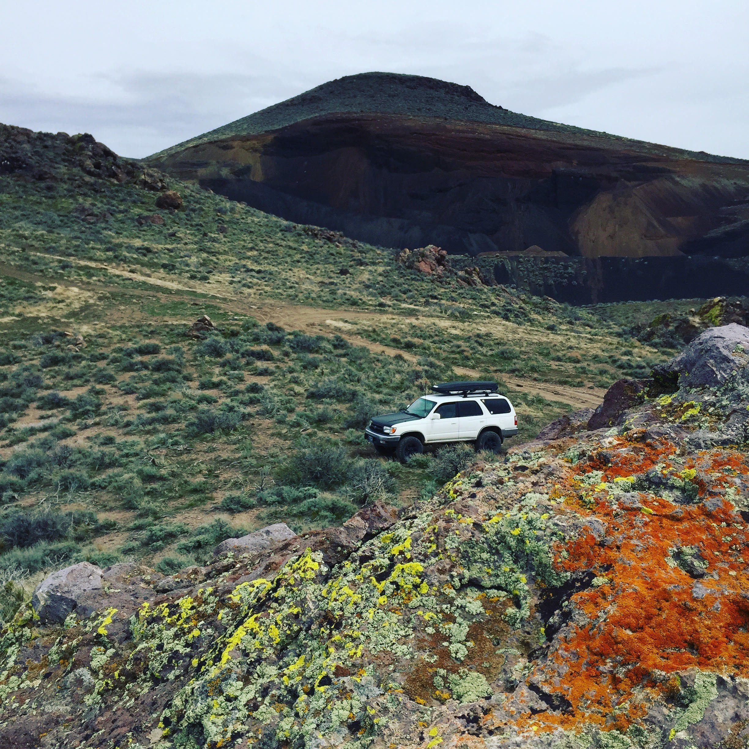 Feature Friday - Gizzard Stone 265x75R16 Warden – TreadWright Tires